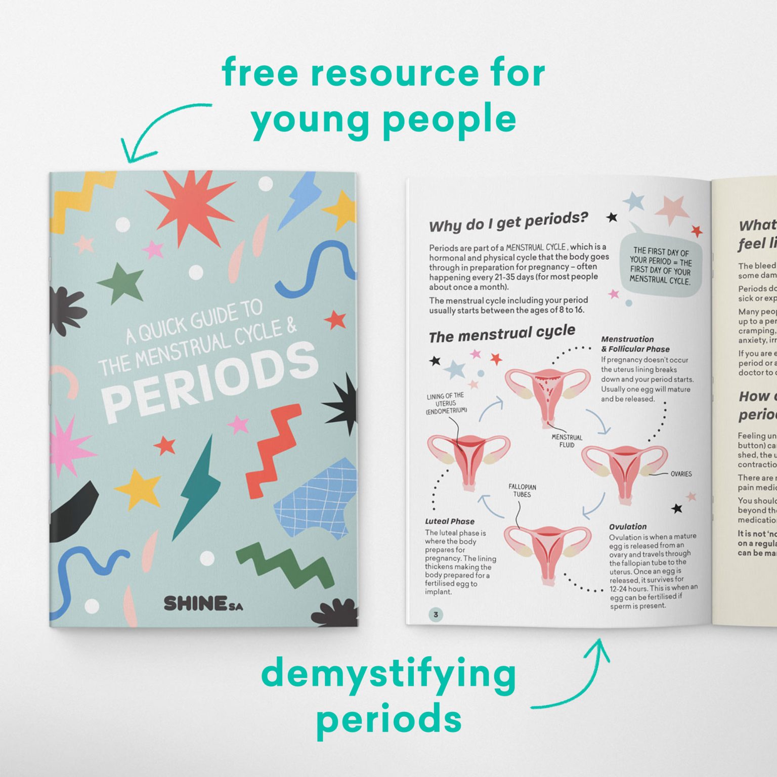 New free resource for young people: A Quick Guide to the Menstrual ...
